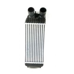 Intercooler Peugeot 301 1.6 Hdi 9803900780 Mb – EnjoyCar